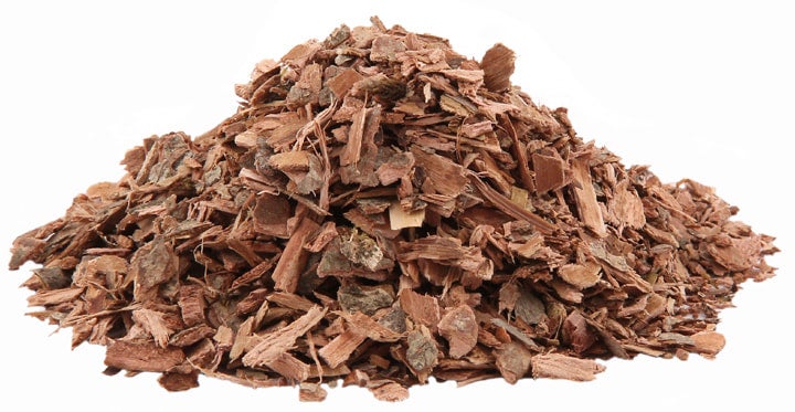 Witch Hazel Bark | Big Liz Conjure